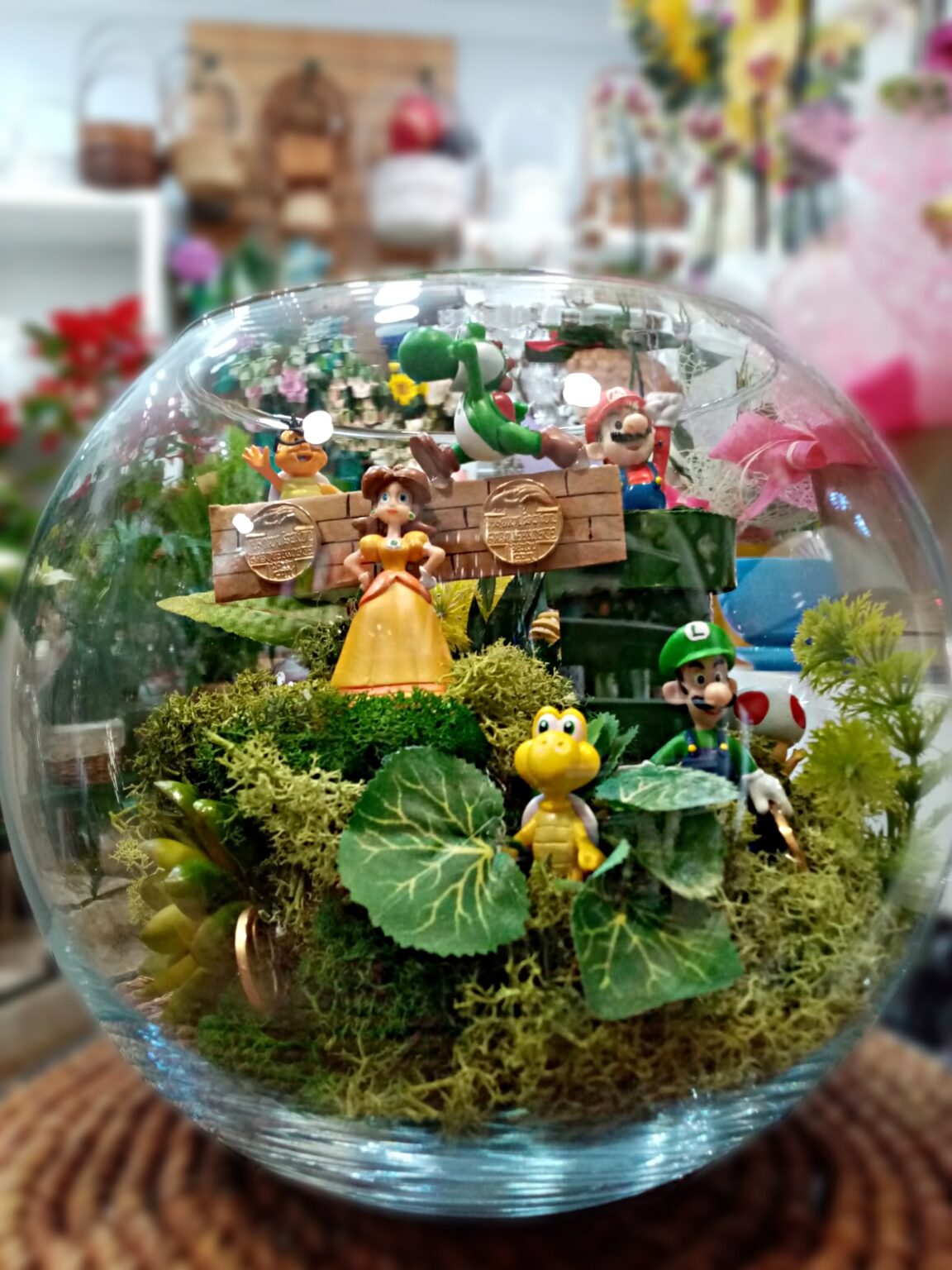 Pecera grande el fontanero y sus amigos - Agapanthus